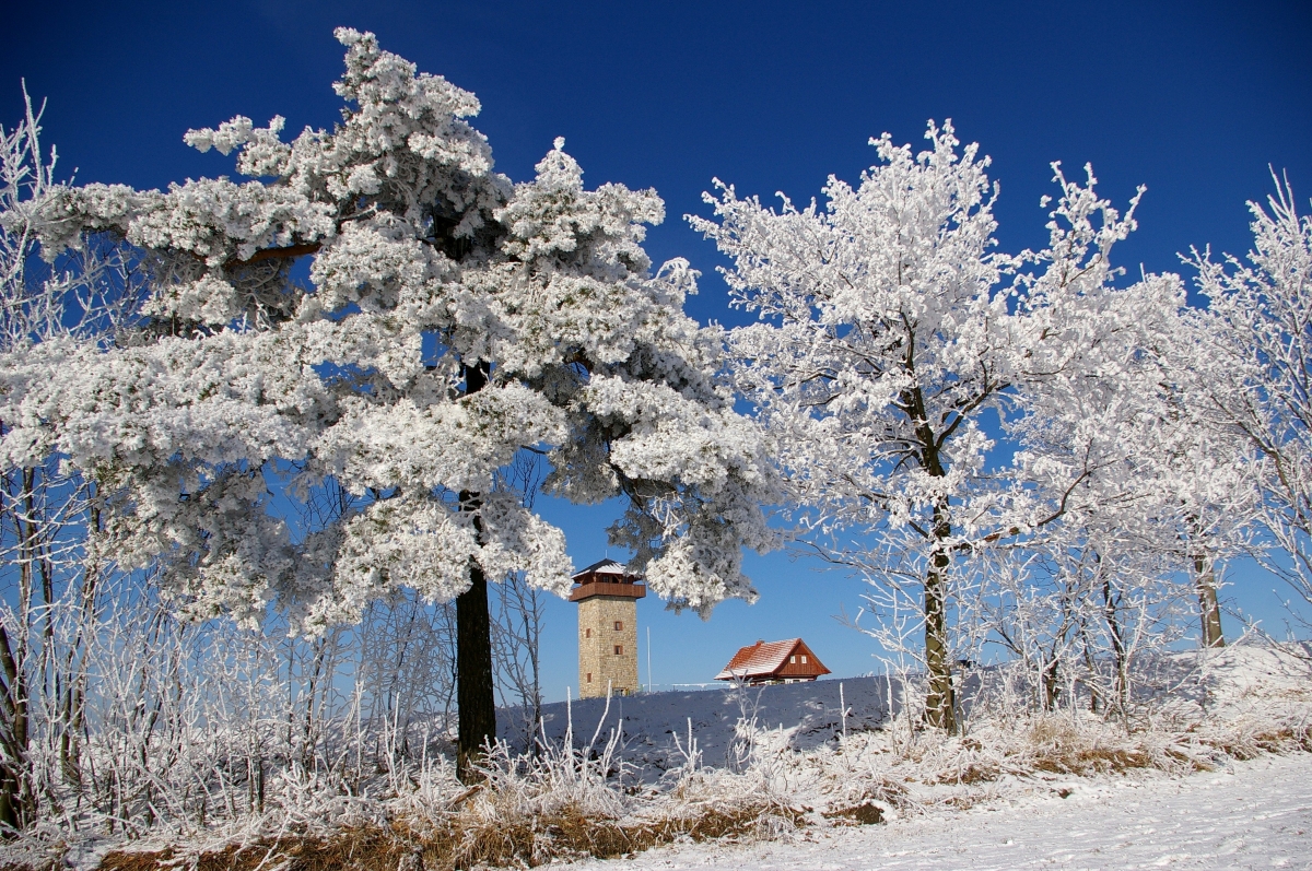 Rozhledna U borovice